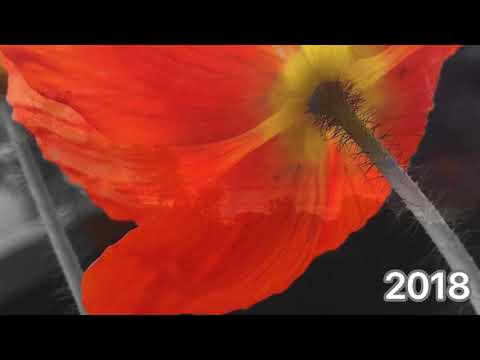 Seasonal Impressions - 2018, with Top Hit Music