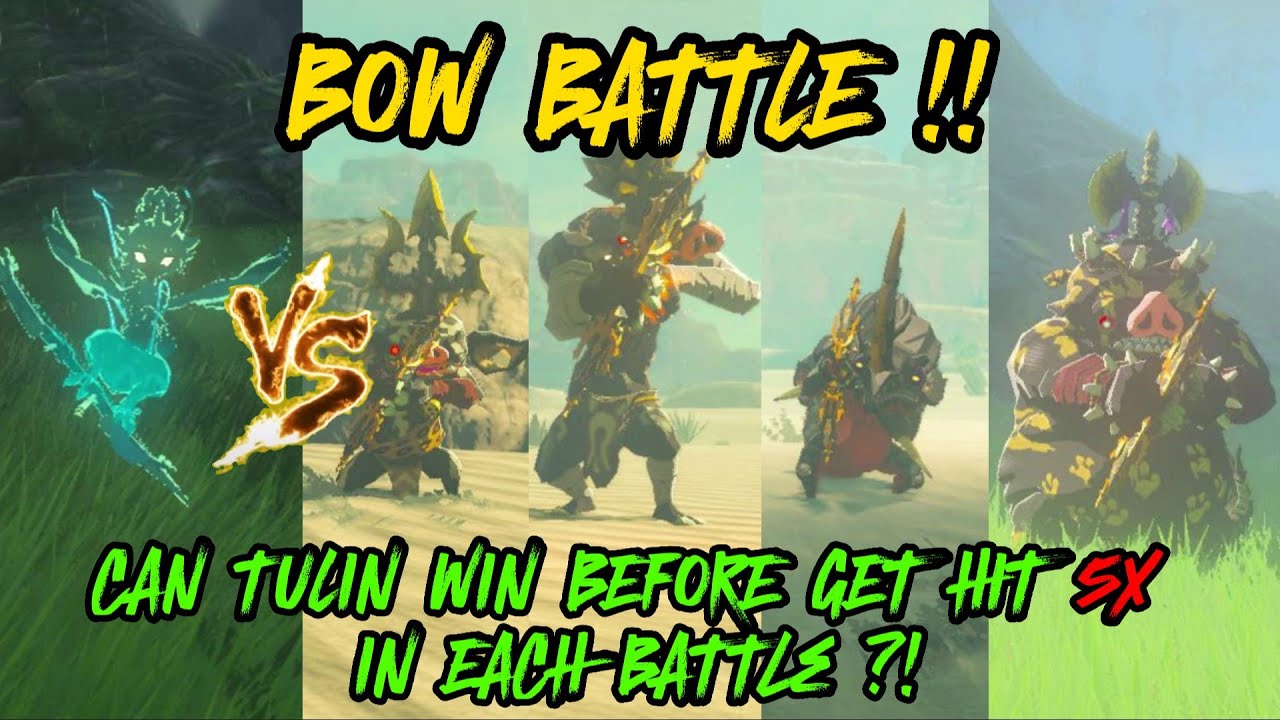 TULIN VS EVERY BLACK MONSTER IN TOTK ! BOW BATTLE !(The Legend of Zelda ...