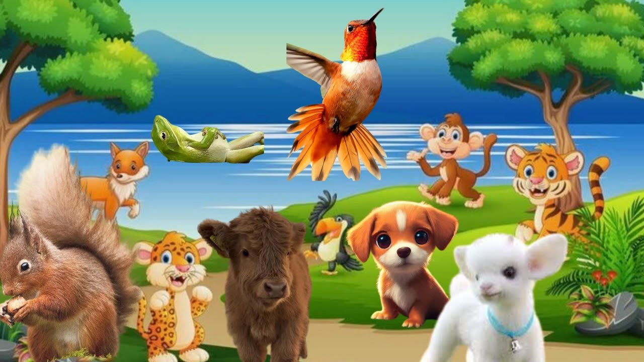 Cute Animals Video 4K: dog, cat, squirrel, frog, turtle, sheep ...