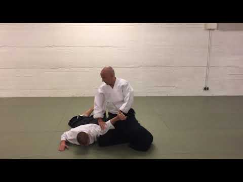 5. Aikido-Grundlagen-Tutorial: gokyo
