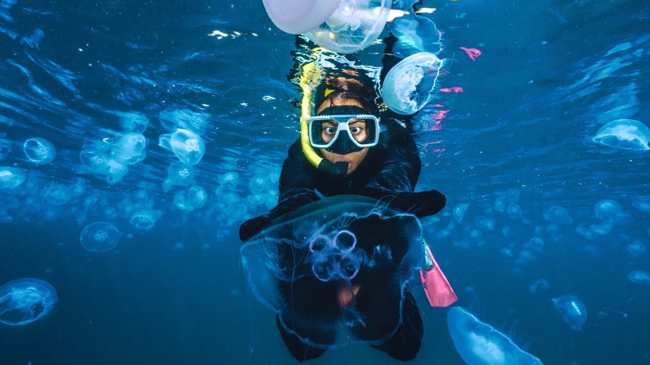 Amazing Underwater Inventions That You Need To See - YouTube