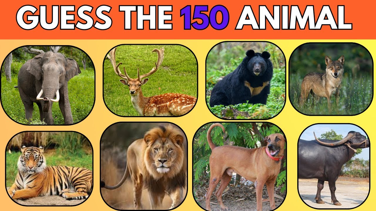 Guess the Animal By Emoji | Animal quiz |Picture Clue | Riddles |Guess ...