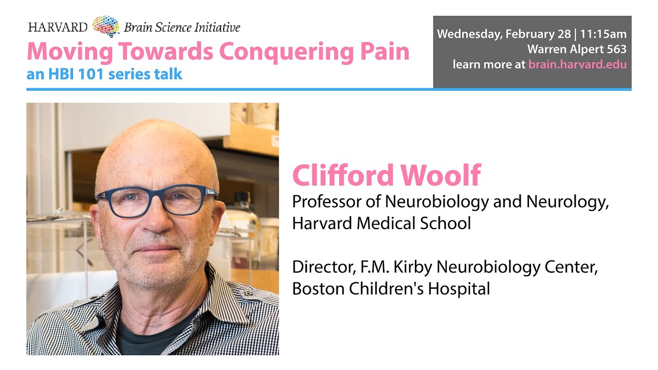 Moving Towards Conquering Pain: an HBI 101 Series Talk featuring ...