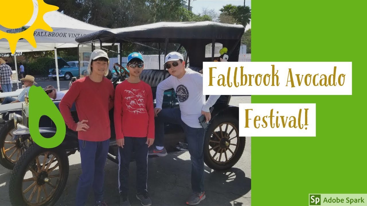 [vlog] 2019 Fallbrook Avocado Festival - YouTube