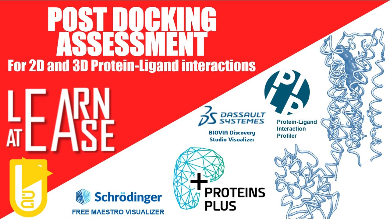 EP 2 | POST DOCKING ASSESSMENT by visualizing 2D and 3D Protein-Ligand ...