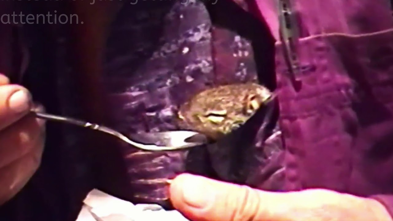 Stan and his pocket squirrel Jasper - YouTube