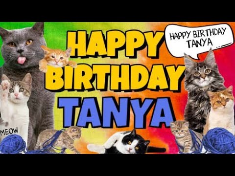 Happy Birthday Tanya! Crazy Cats Say Happy Birthday Tanya (Very Funny ...