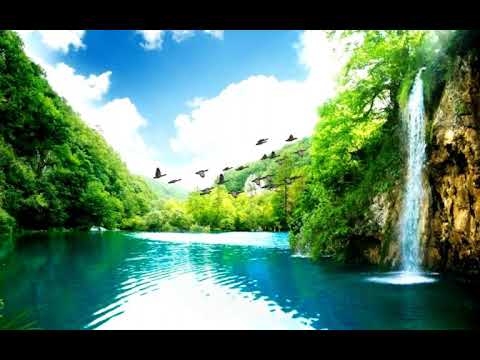 Best Nature status video 2020/nature Love/nature beauty/beautiful places video 2020/latest/trending