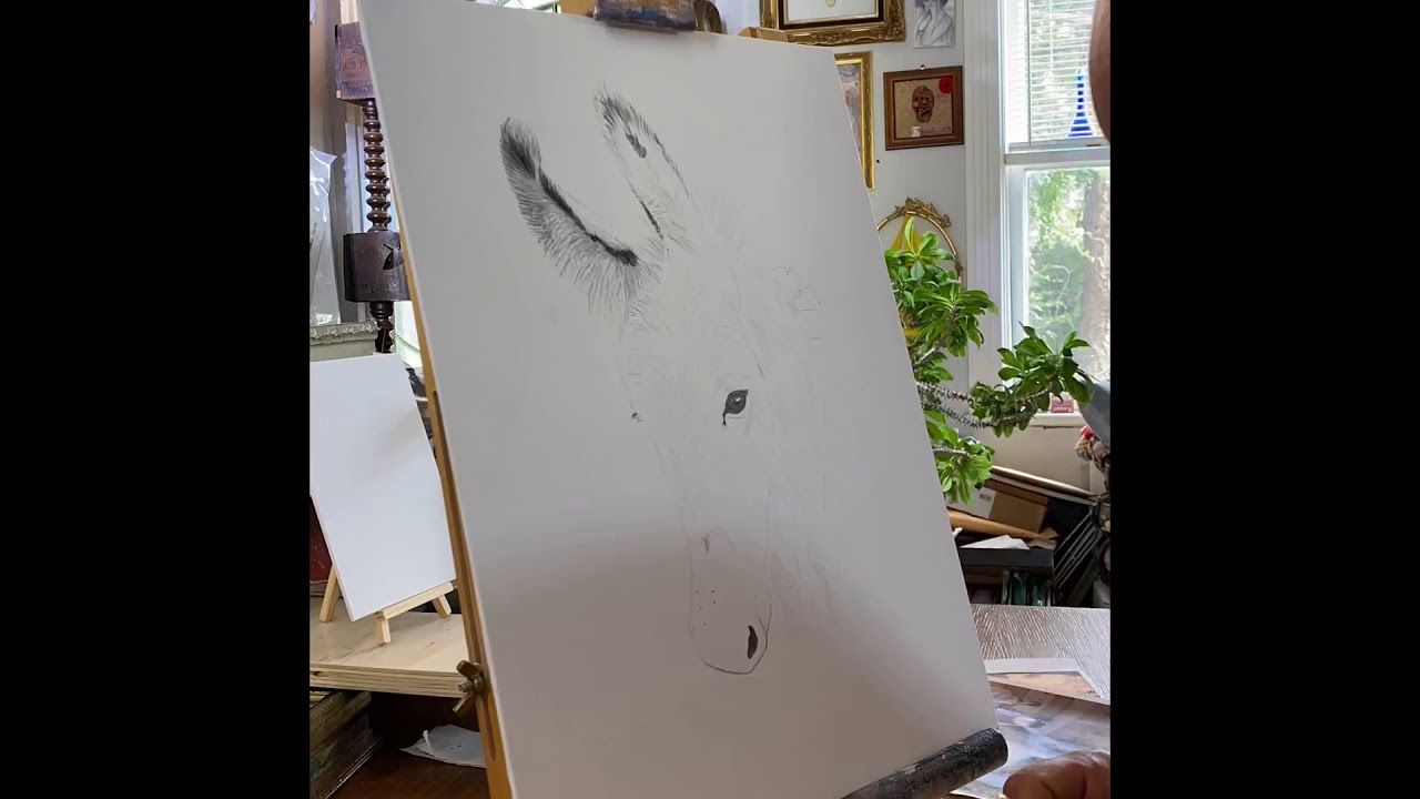 how i paint a donkey with acrylic paint - YouTube