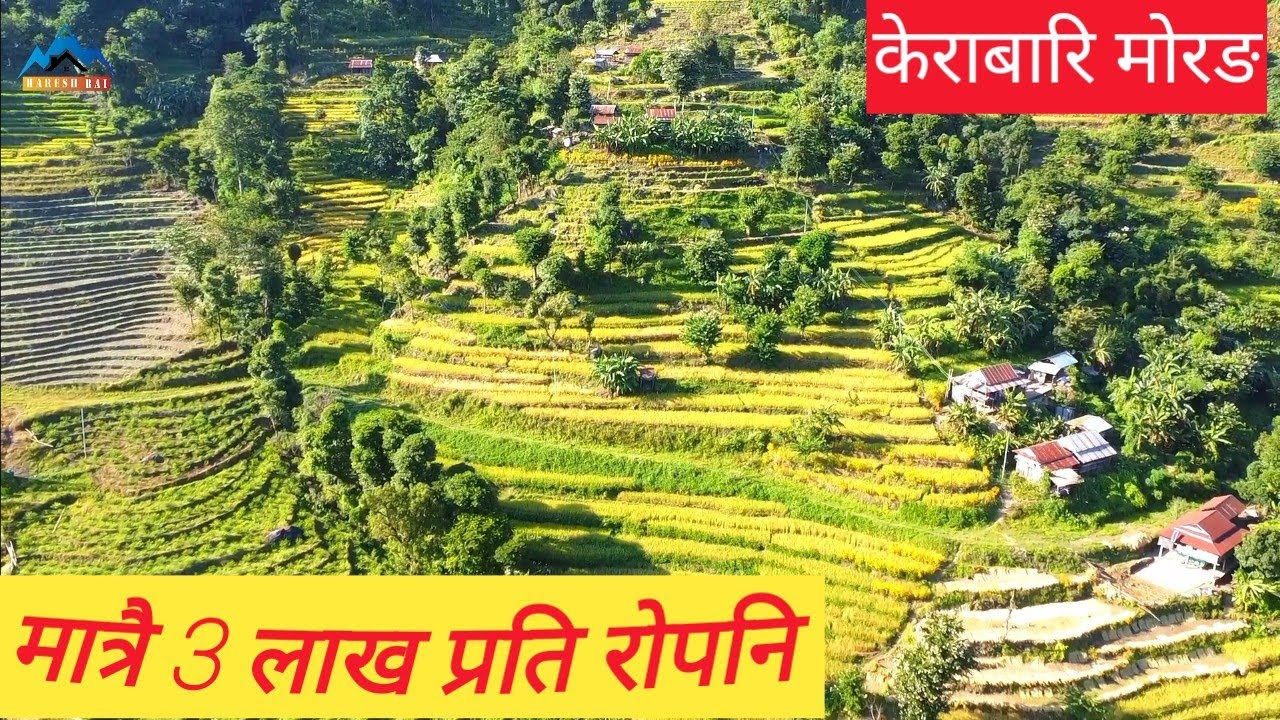Kerabari#Morang Ga.pa.4#Ropaniko 3 lakh matra#East nepal real\#cheap ...