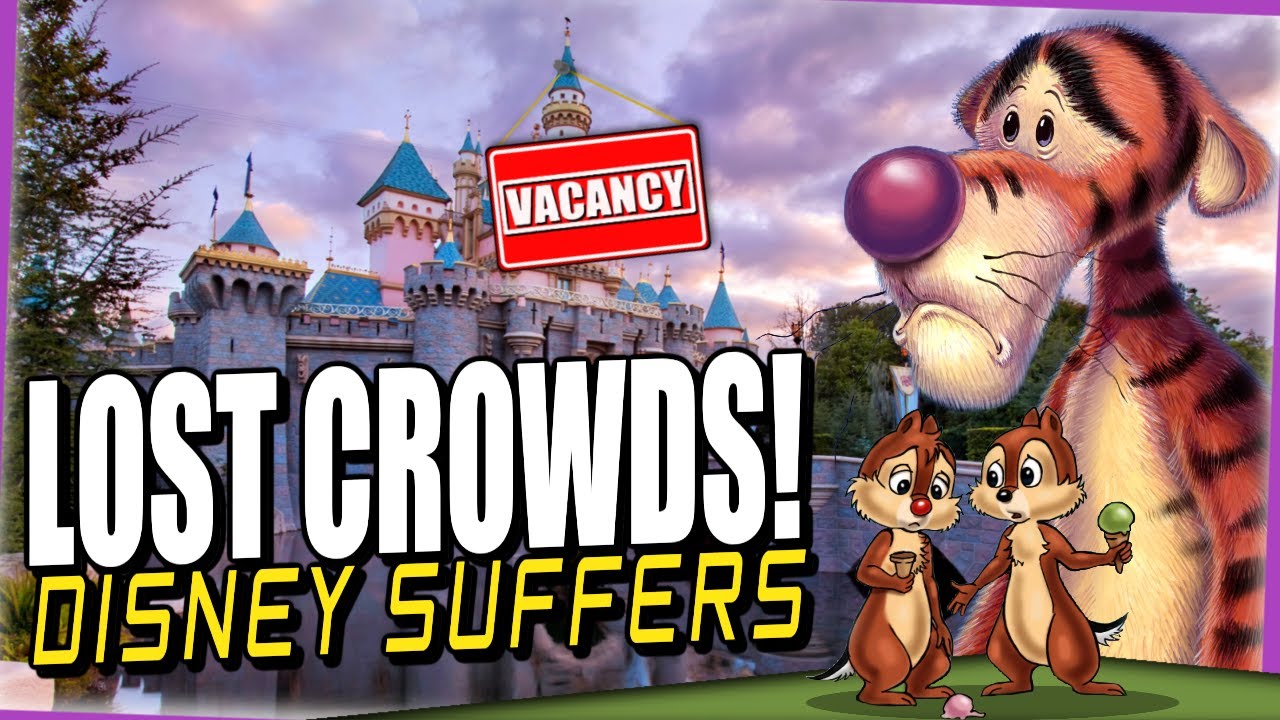 Disney World Summer Crowds Are GONE So Why Is Universal Studios disney-world-summer-crowds-are-gone-so-why-is-universal-studios