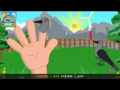 Crow 🐦‍⬛ Finger Family Nursey Rhyme For Kids