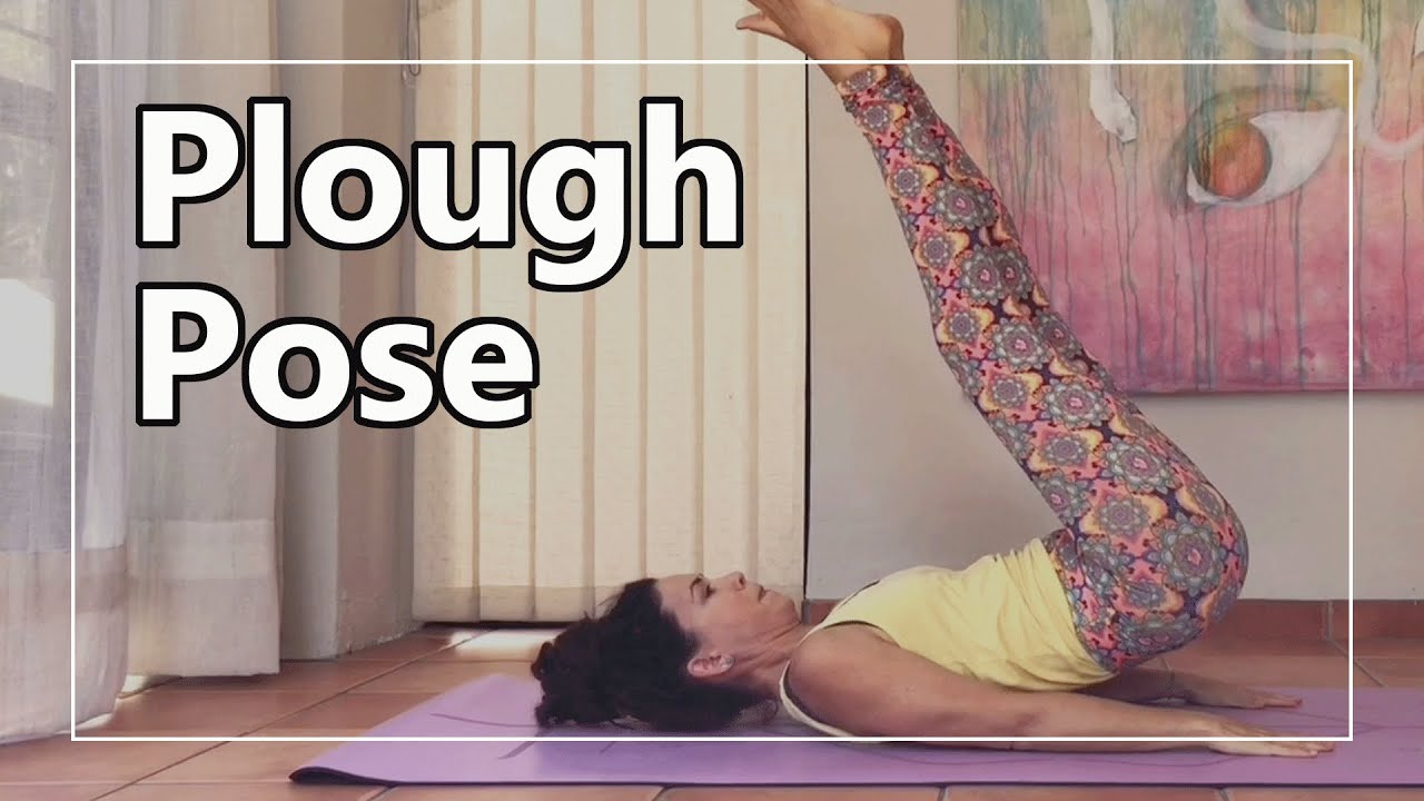 Learn the Plough pose easily - Yoga for Beginners. Halasana. - YouTube