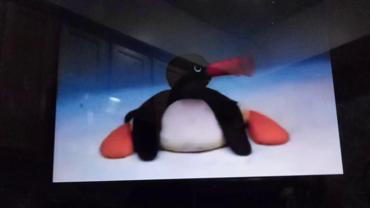 Noot Noot Compilation Emilyfan619 - YouTube