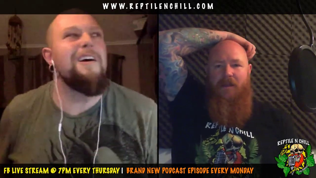 LIVESTREAM#1 The Return of Hoss. - YouTube