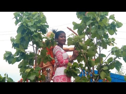 HUL Divas special my village,,,,,, - YouTube