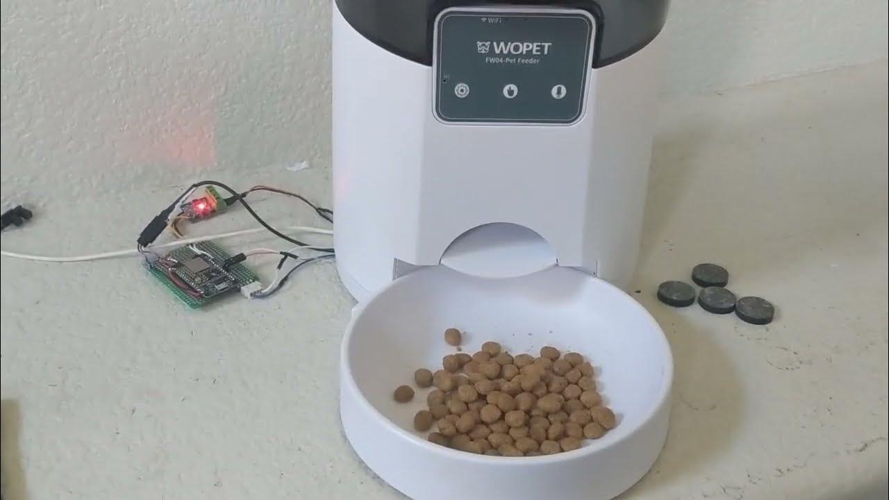 Custom WoPet Automatic Pet Feeder Using Arduino (nodemcu) - YouTube