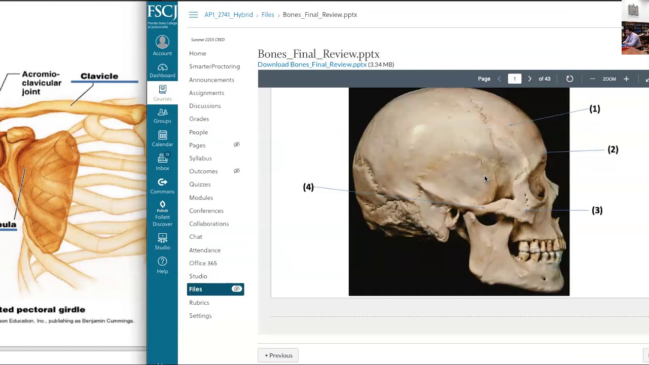 Bones Lab Exam studying Recommendations - YouTube
