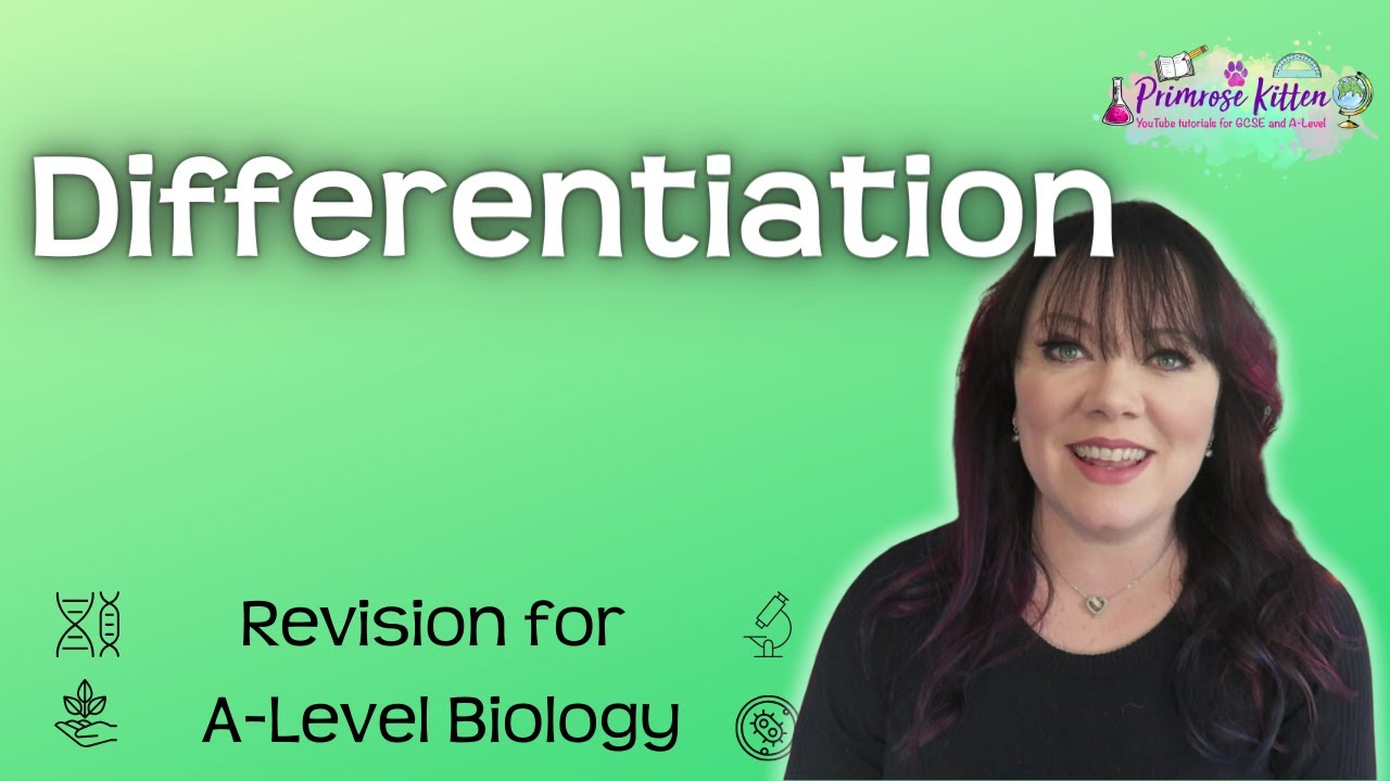 Differentiation | Revision for Biology A-Level - YouTube