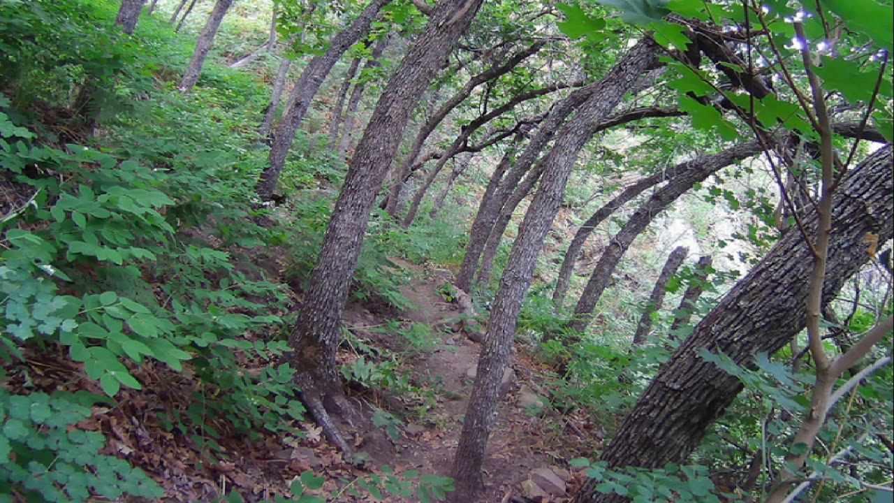 Sedona Hike - Vultee Arch Visit - YouTube