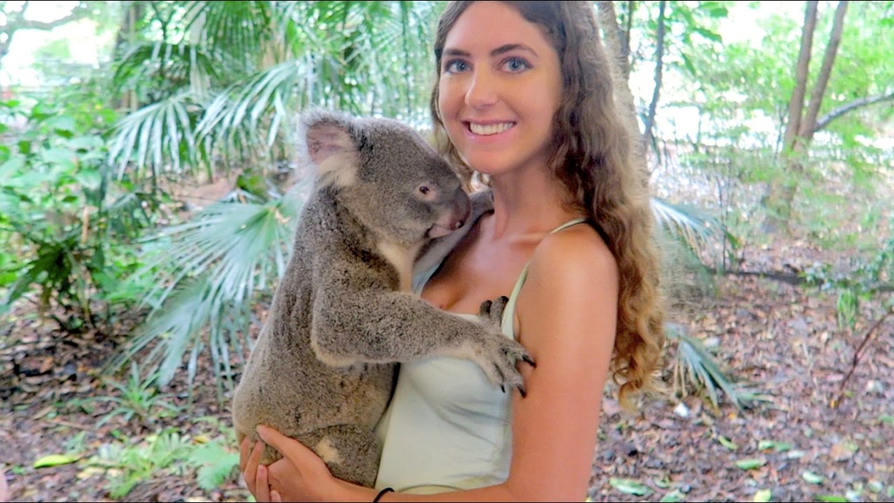 Hanging Out with Koalas, Kangaroos & More // Australia - YouTube