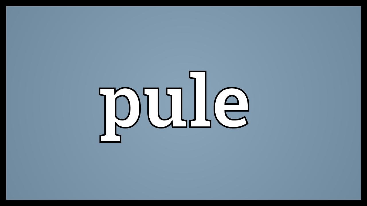 Pule Meaning YouTube pule-meaning-youtube