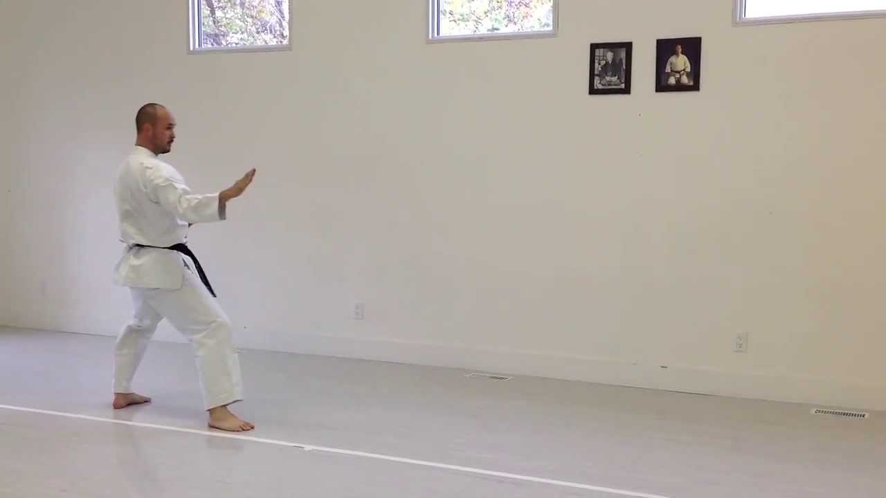 Knife Hand Block, Front Kick, Spear Hand Strike (back) | IKD Testing ...