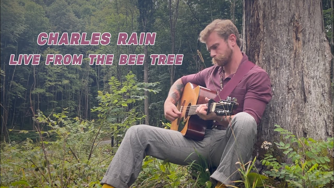Charles Rain Live from the Bee Tree - YouTube