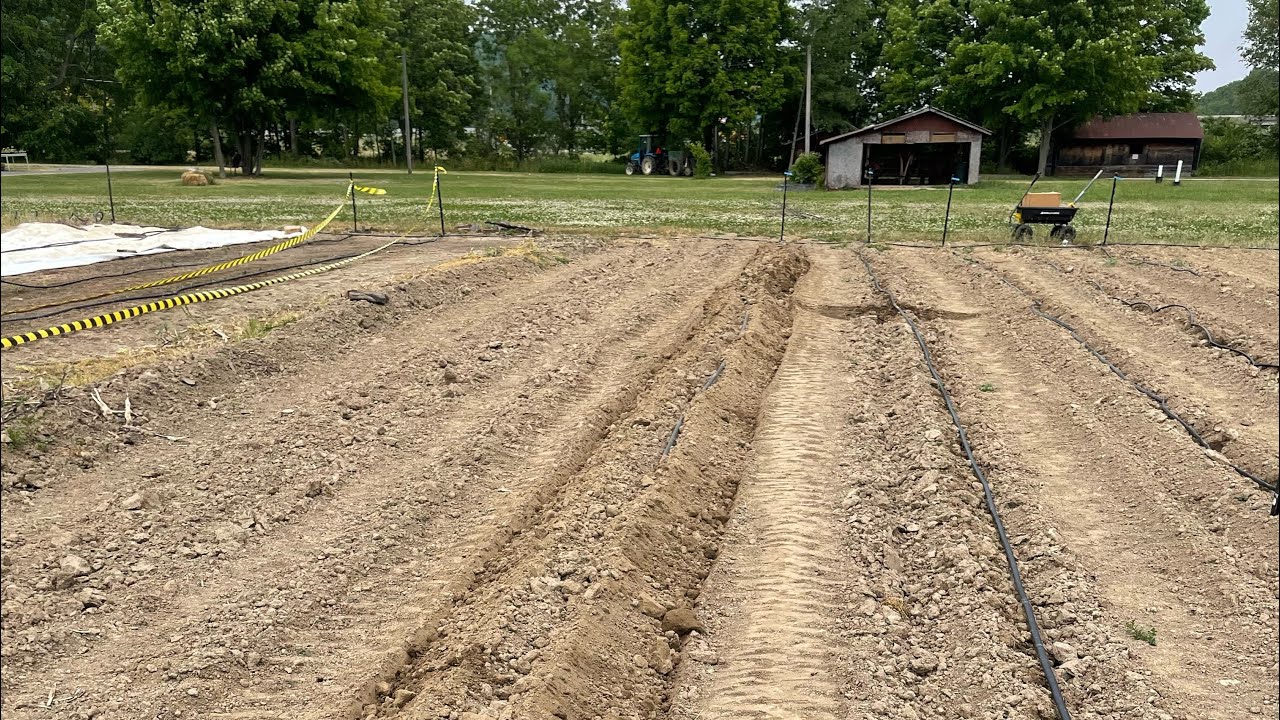 Turing a cornfield into a garden! Challenges, successes and future ...