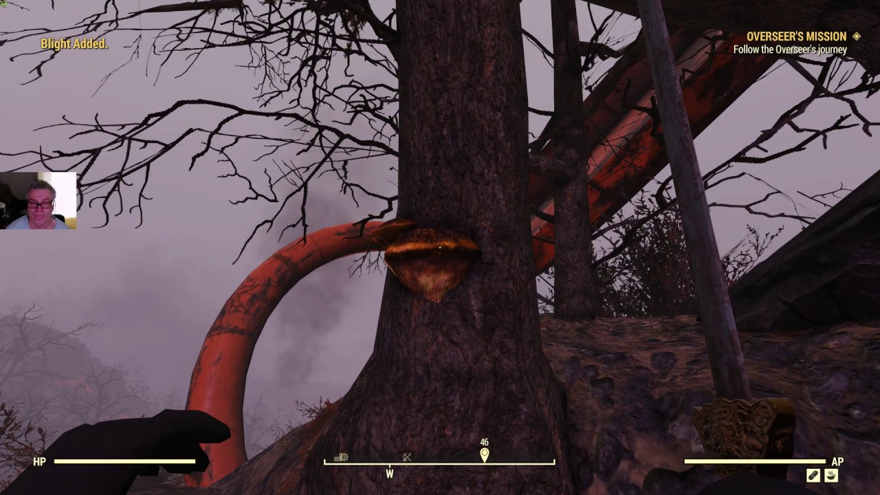 Fallout 76 - Where can I find "Blight" - YouTube
