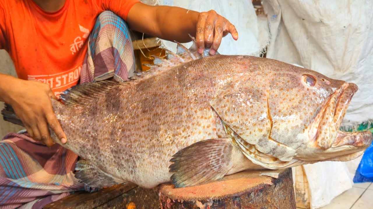 13 KG Giant Monster Hamour Fish Cutting Skills In Dhaka Fish Market By ...