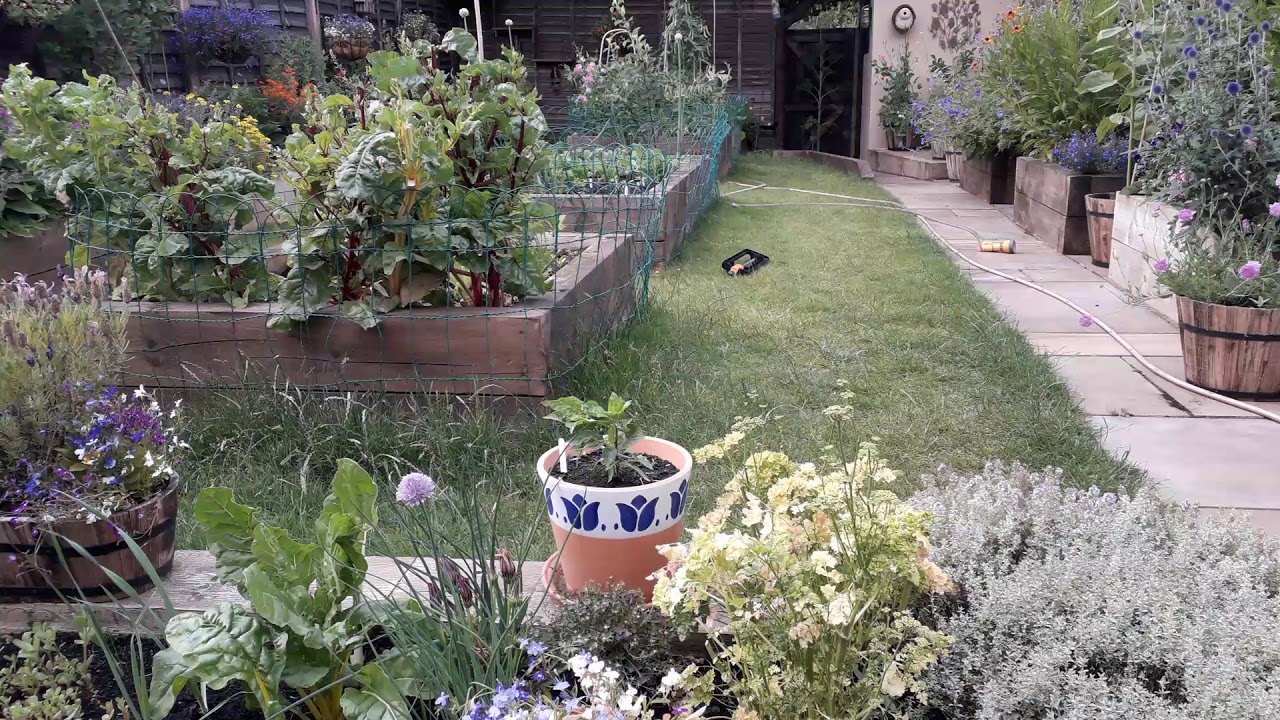 Wind trying to destroy my garden again... June 2020. - YouTube
