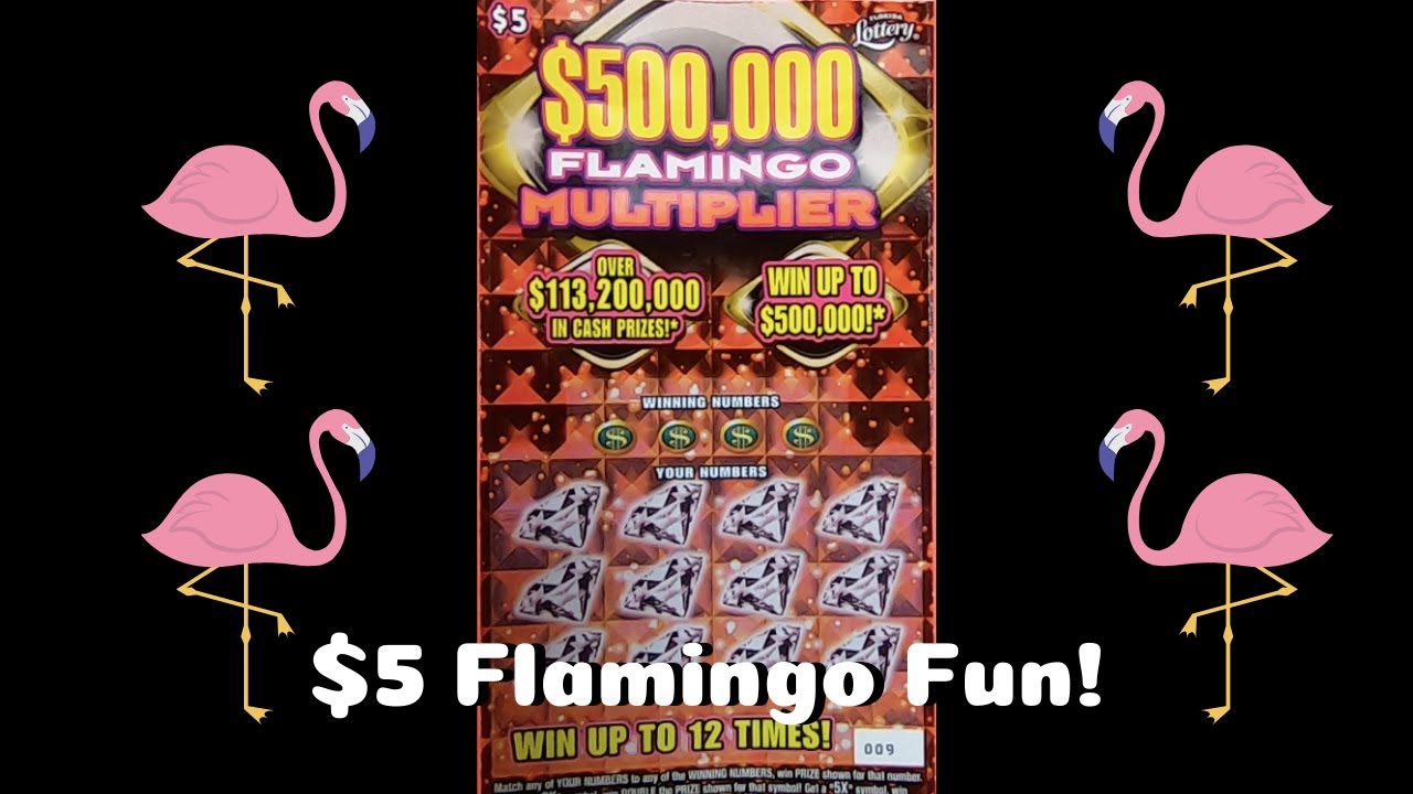 $5 Flamingo Fun! Florida Lottery Scratch Tickets - YouTube