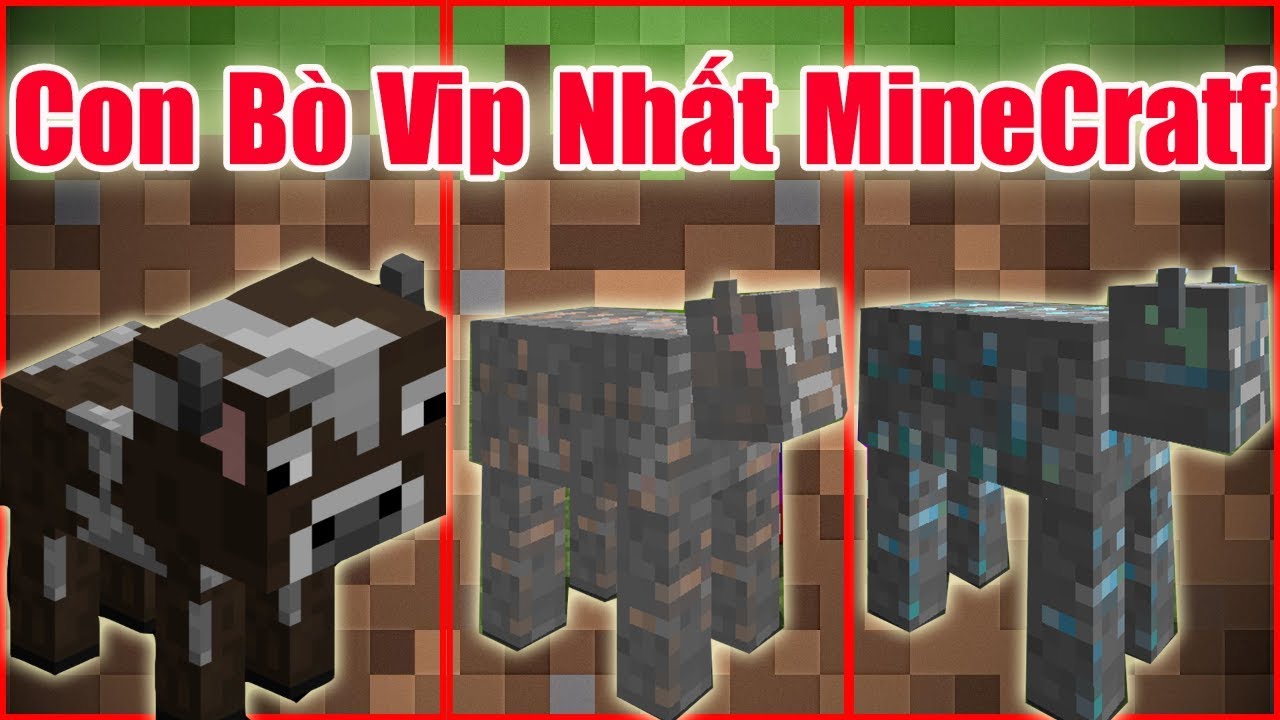 Nếu Bạn Có Được Con Bò Vip Nhất Minecraft**Sự Tiến Hóa Của Con Bò Và 2 ...