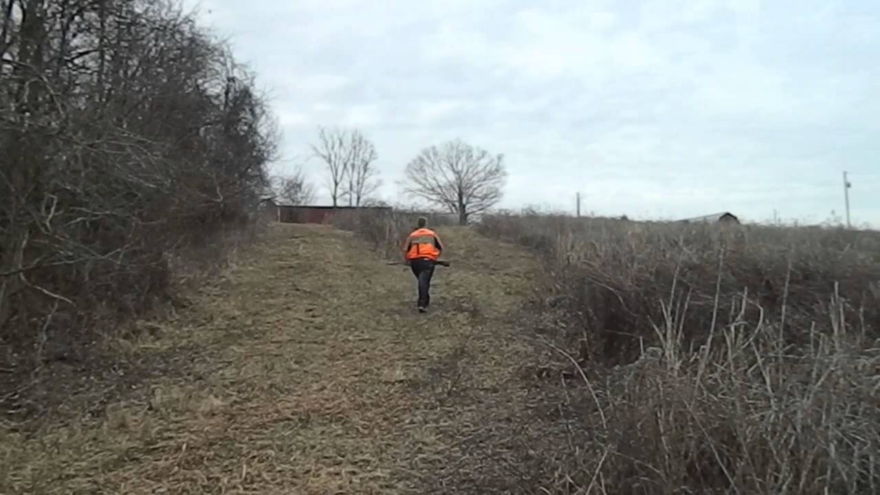 cooper shoots rabbit - YouTube