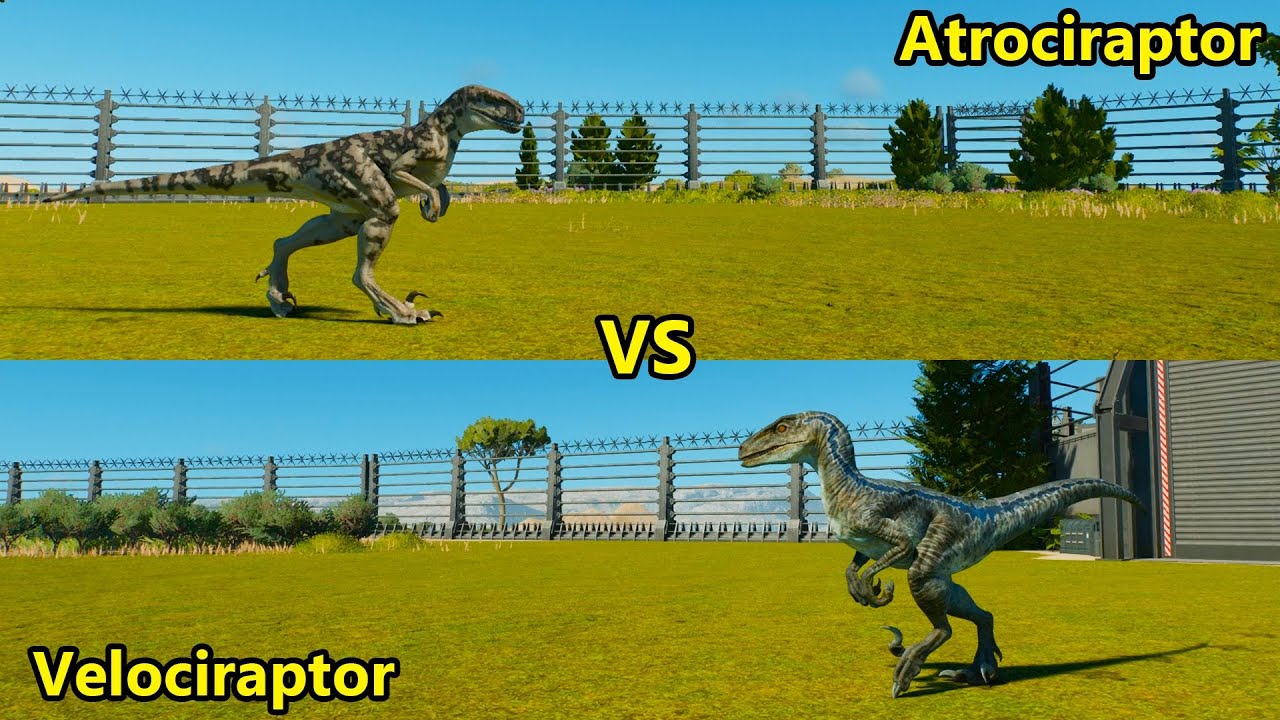 Atrociraptor vs Velociraptor jurassic world evolution 3 - YouTube