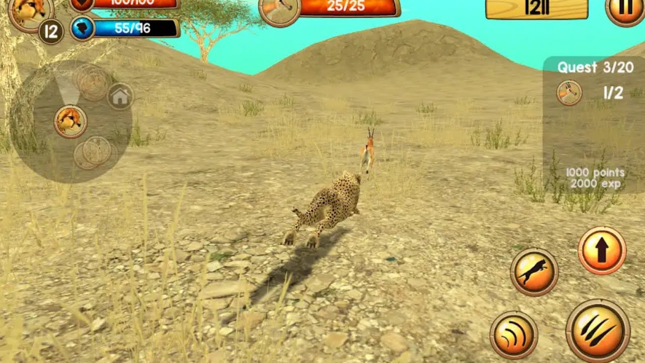Wild Cheetah Simulator 3D Android Gameplay # 3 - YouTube