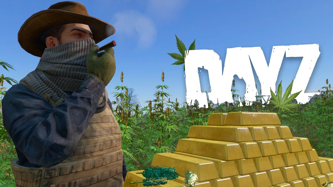 Como criei o CARTEL mais RICO no Dayz - YouTube