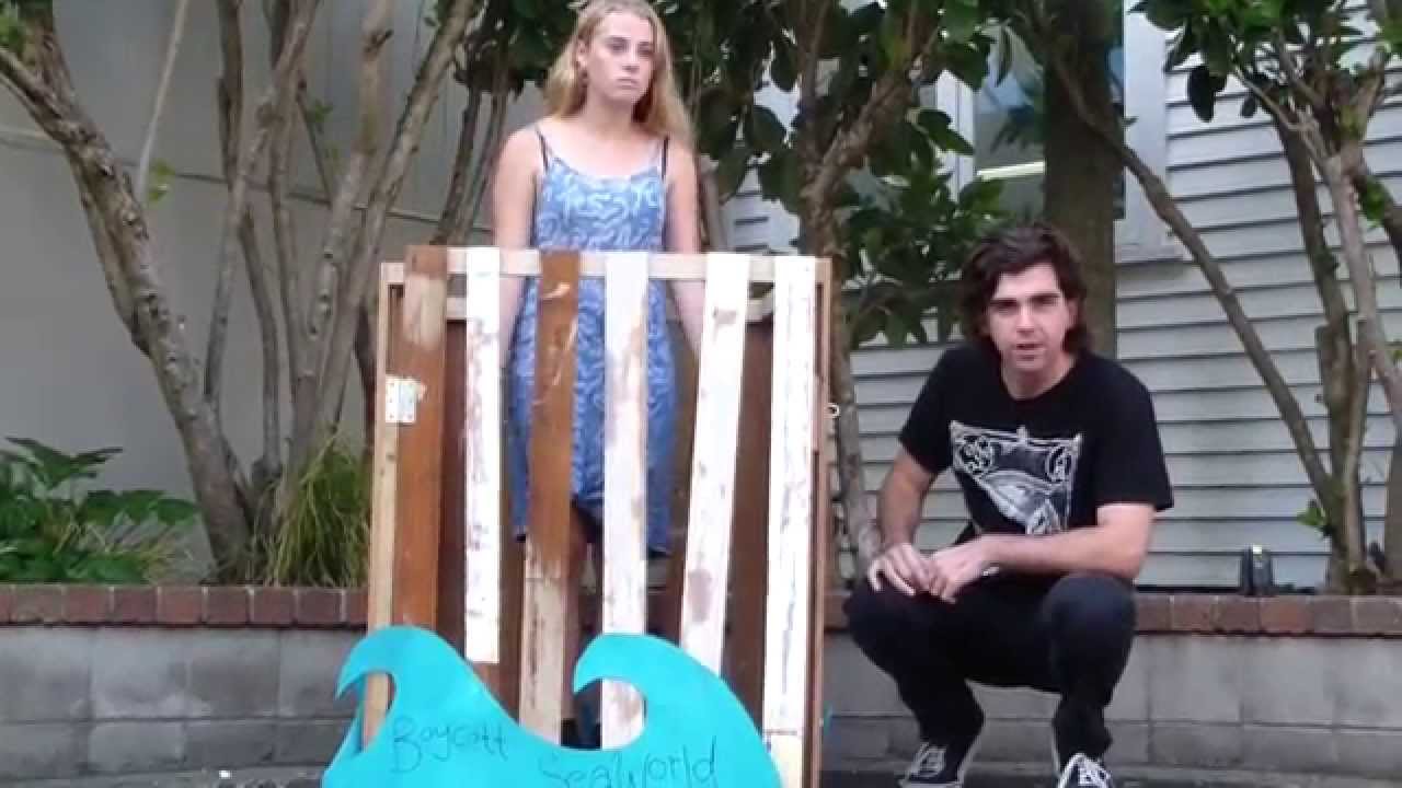 Boycott SeaWorld and Save the Whales - YouTube