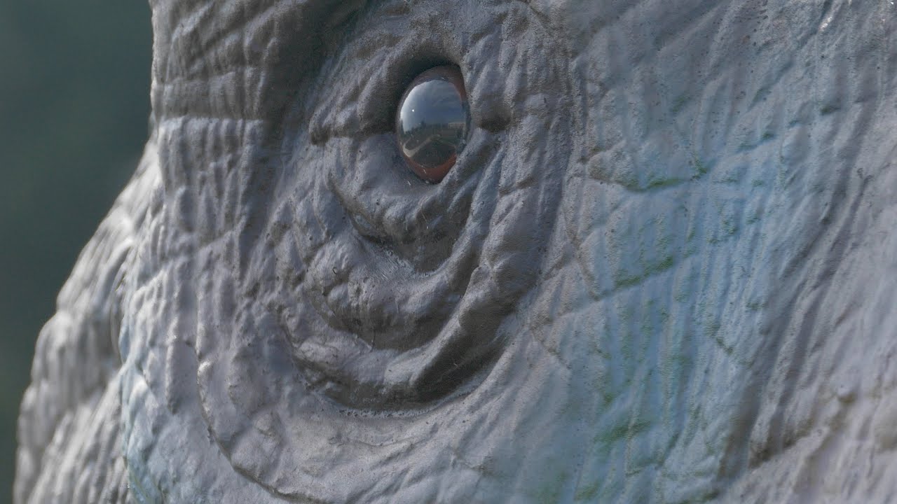 Dinosaurs In Northolt Golf Club - YouTube