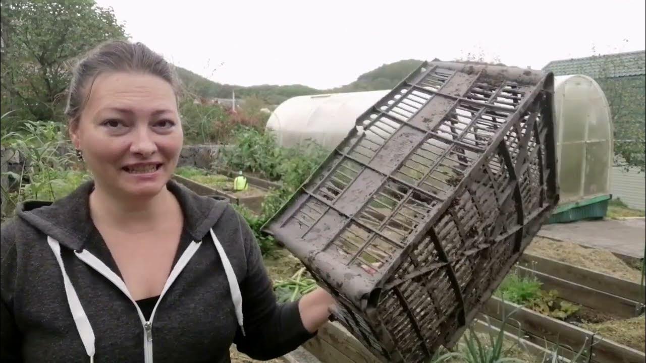 ХИТРЫЙ СПОСОБ ВЫРАЩИВАНИЯ КАБАЧКОВ | КАБАЧКИ С МАЯ ПО ОКТЯБРЬ - YouTube