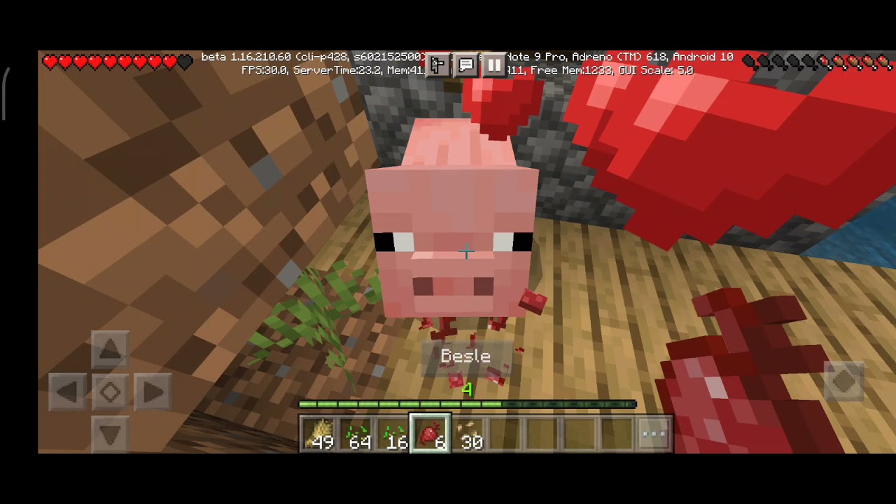 DOMUZ PANCAR SEVERMİYDİ? - Minecraft Bölüm #1 - YouTube