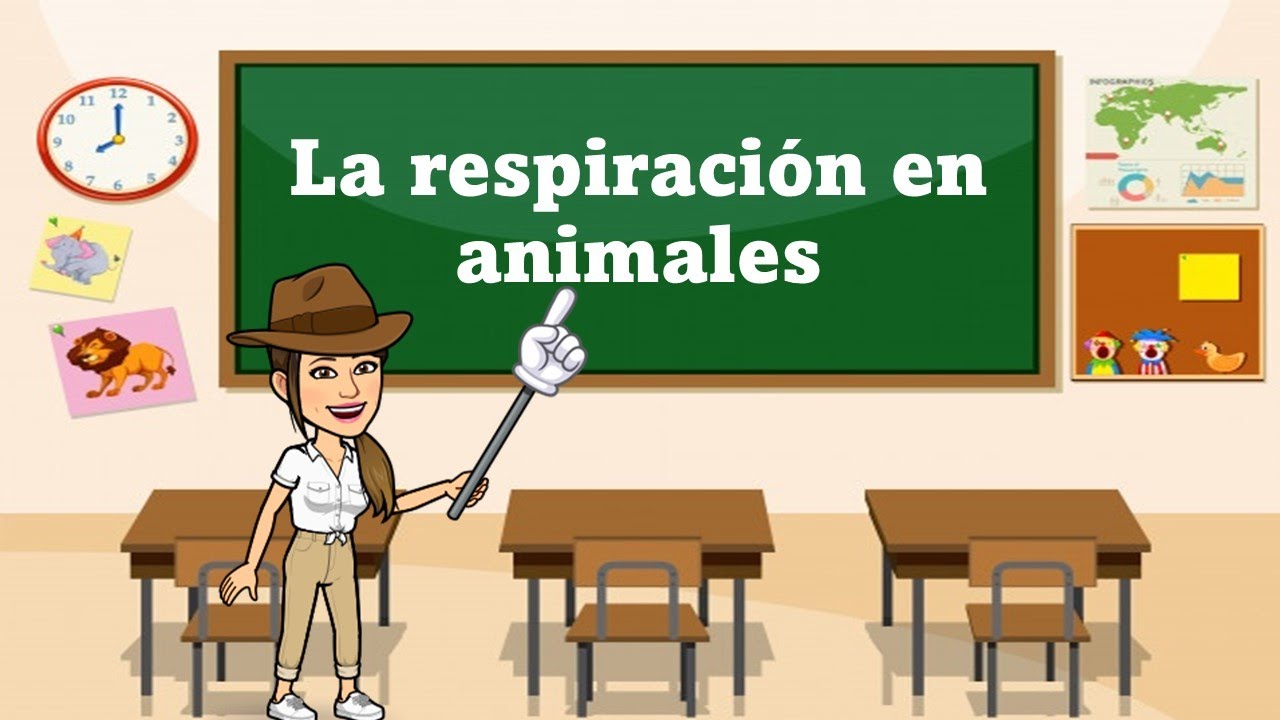 LA RESPIRACION ANIMAL - YouTube
