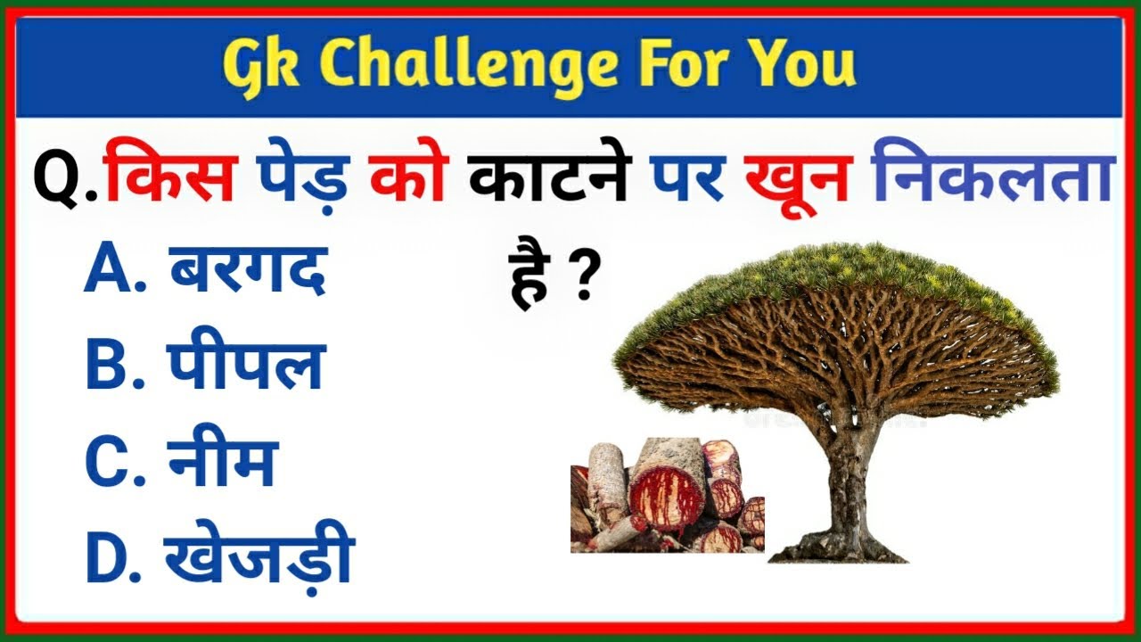 Hindi GK || General Knowledge || Gk Questions And Answers || Gk Quiz In ...