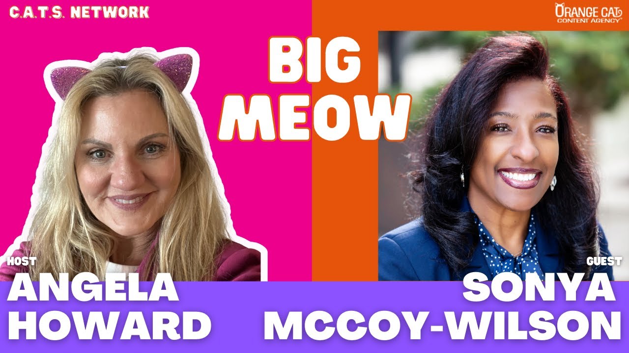 222: How to Avoid Toxic Leadership with Sonya McCoy-Wilson - YouTube