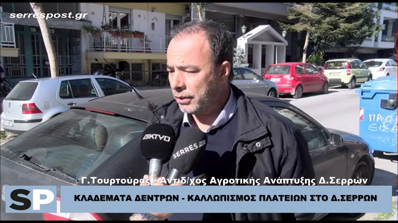 ΚΛΑΔΕΜΑΤΑ ΔΕΝΤΡΩΝ - ΚΑΛΛΩΠΙΣΜΟΣ ΠΛΑΤΕΙΩΝ ΣΤΟ Δ.ΣΕΡΡΩΝ - YouTube