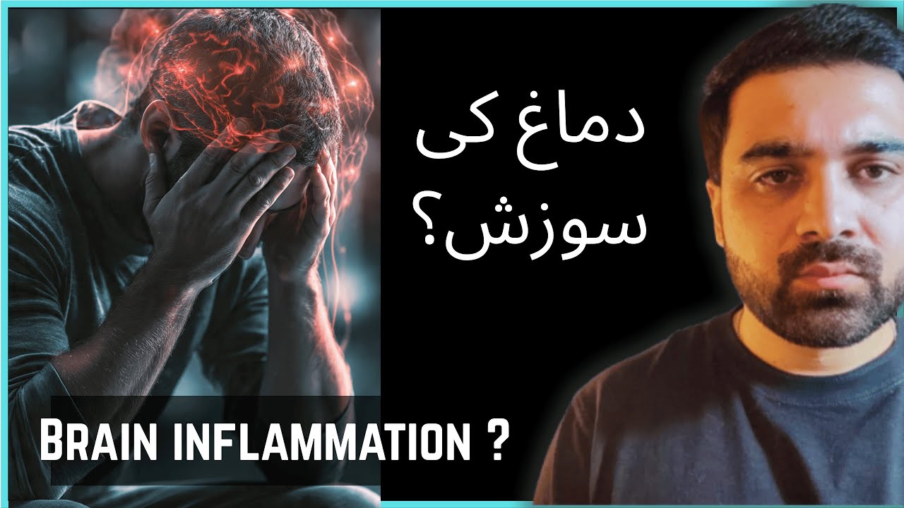 Feeling Angry, Confused, Irritated, Brain Fog, Low Memory? This could ...