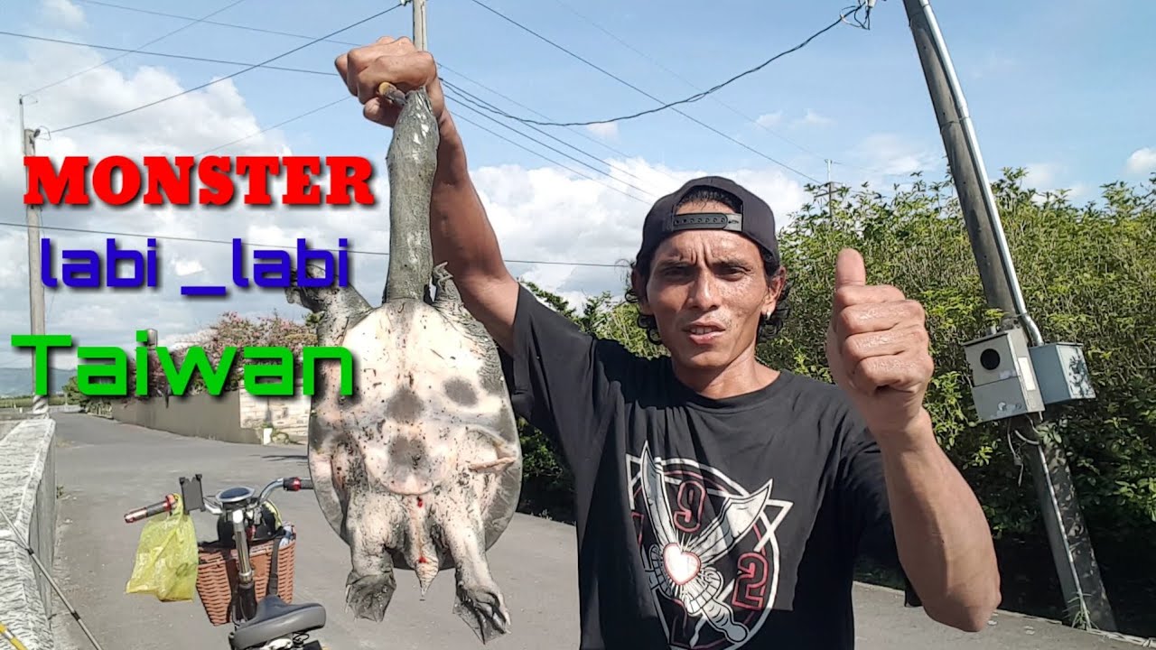 MONSTER RIVER||LABI_LABI||BULUS COOKING_FISHING TAIWAN - YouTube