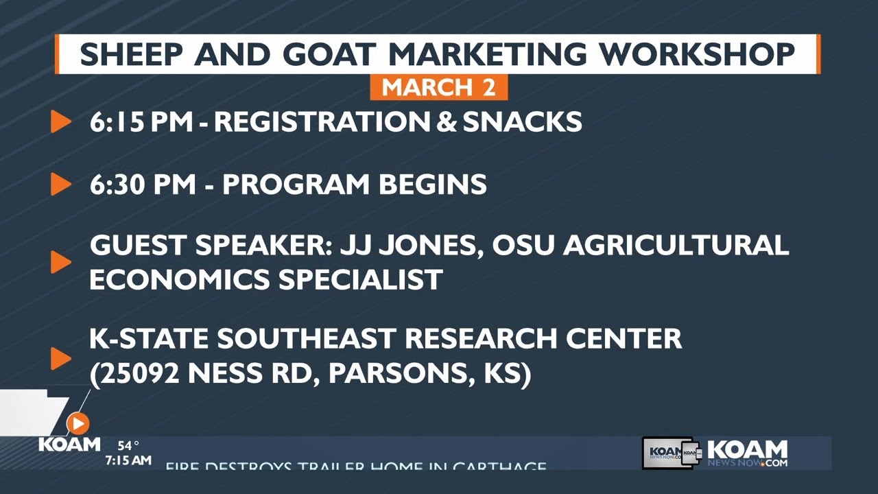 Wildcat Wednesday: Sheep & Goats (03-01-2023) - YouTube