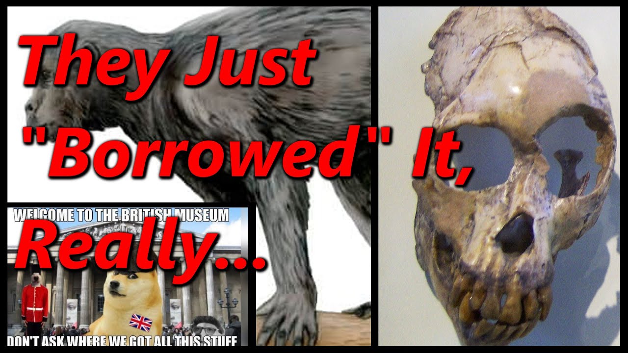 That Time the British Museum Stole a Skull | The Proconsul Incident ...